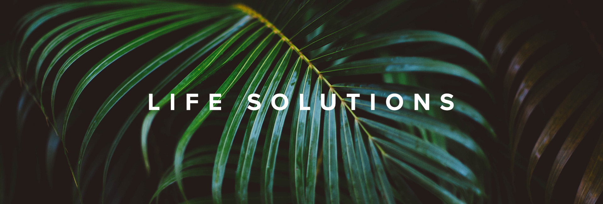 Life Solutions | Gregory Dickow Ministries