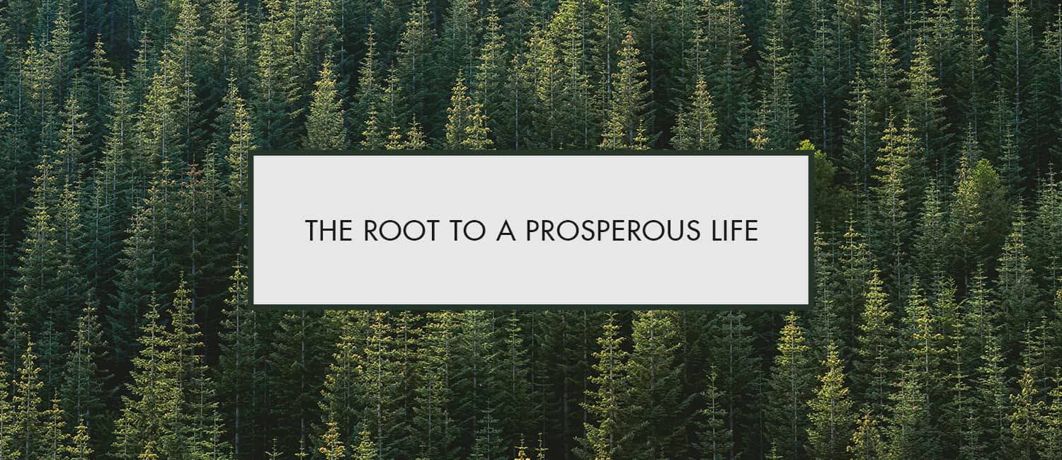 The Root to a Prosperous Life - Gregory Dickow Ministries